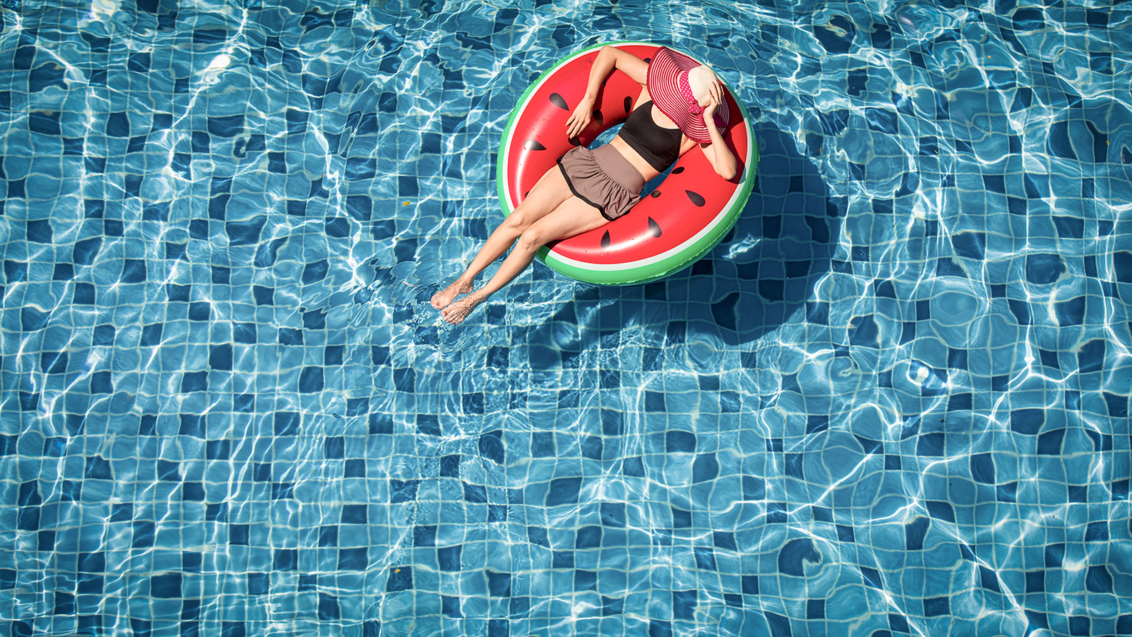 Transform Your Backyard with Custom Swimming Pools - cell2b.com